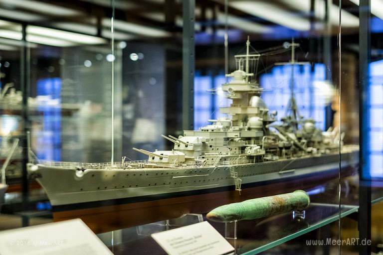 Auf Entdeckungsreise im IMMH - Teil 2 - MeerART