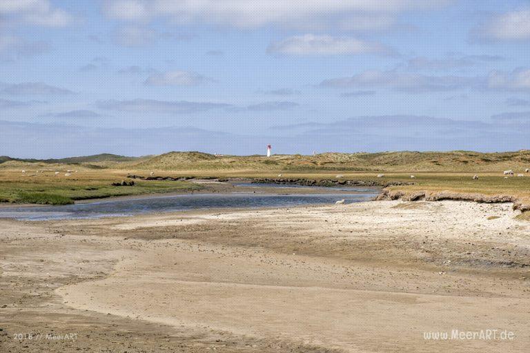 Die Insel Sylt – eine Entdeckungsreise - MeerART